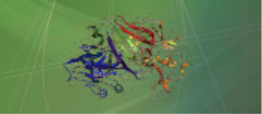 Accelero Bio Structures